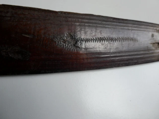 AUSTRALIAN ABORIGINAL WOOMERA Spear Thrower Incised Fluted Carved ...