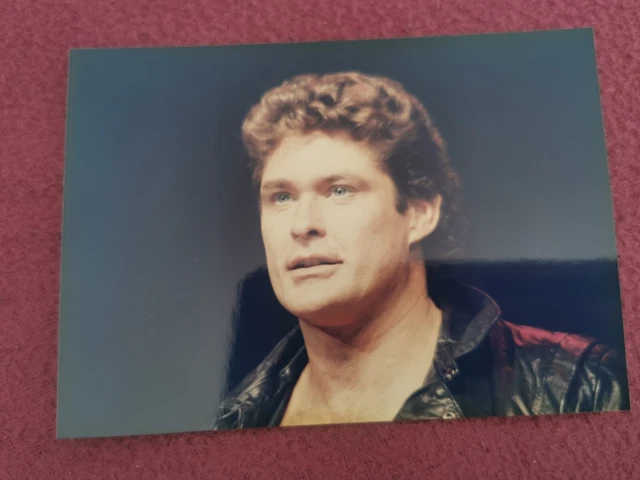 DAVID HASSELHOFF BAYWATCH Knight Rider Foto Photo 9x12,5 cm EUR 85,00 ...