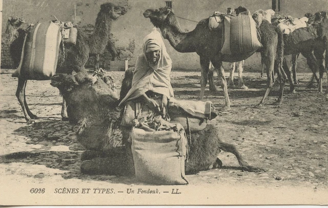 CARTE POSTALE / Postcard / Algerie / Scenes Et Types Sur La Rout De Sfa ...