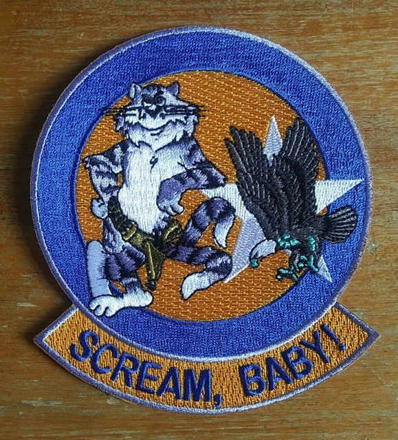 SCREAM, BABY! GRUMMAN F-14 TOMCAT US Navy Fighter Squadron VF MILITARY ...