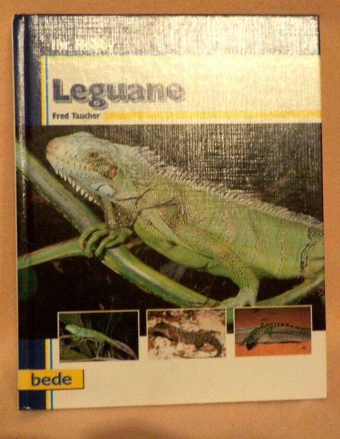 ++ IHR HOBBY - Leguane - Fred Taucher ++ EUR 4,60 - PicClick DE