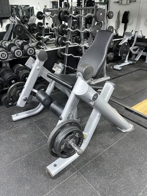 LIFE FITNESS SIGNATURE Iso Lateral Leg Extension Machine Olympic Plate ...