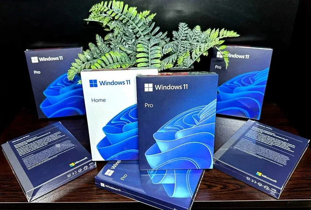 MICROSOFT WINDOWS 11 Professional 64-Bit Software (FQC-10528) £34.86 ...