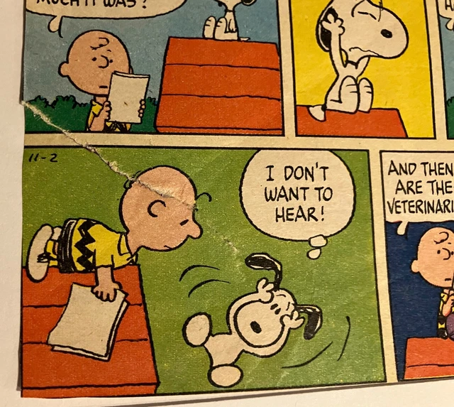 VINTAGE SNOOPY PEANUTS Charlie Brown Newspaper Comic Strip Charles ...