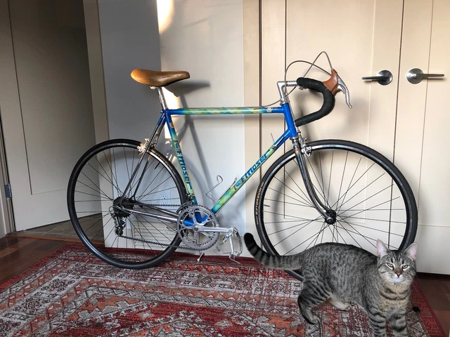 VINTAGE STEEL MOSER “Super Prestige Pernod 1978” racing bike ...