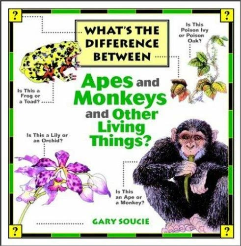 QUELLE EST LA différence entre... singes et singes et autres êtres vivants ? EUR 3,92 - PicClick FR