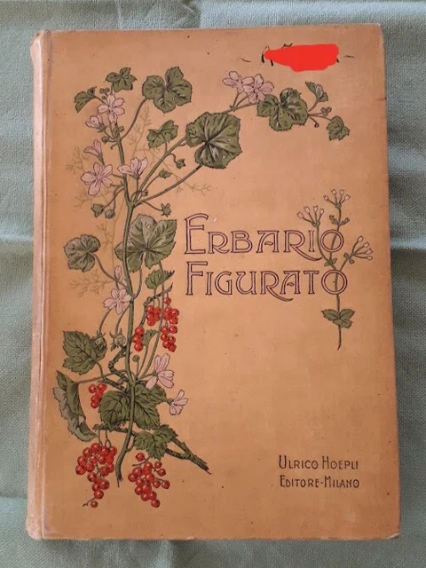 GIOVANNI NEGRI : "Erbario figurato" con 86 tavole cromolitografiche EUR ...