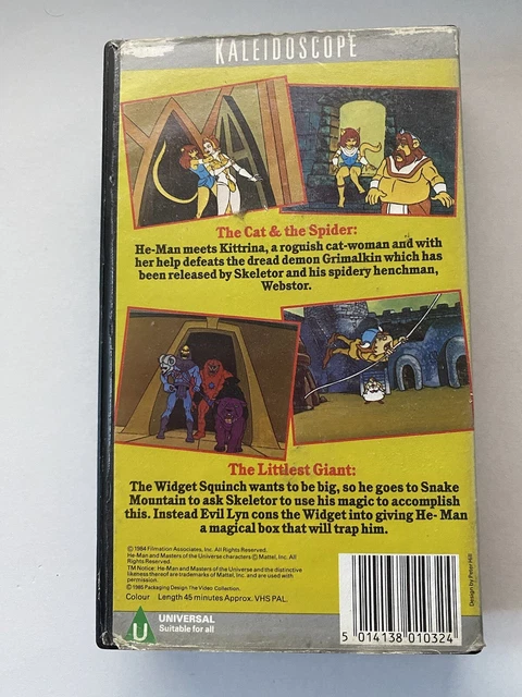 HE-MAN AND THE Masters Of The Universe (VHS) The Cat & The Spider 1985 ...