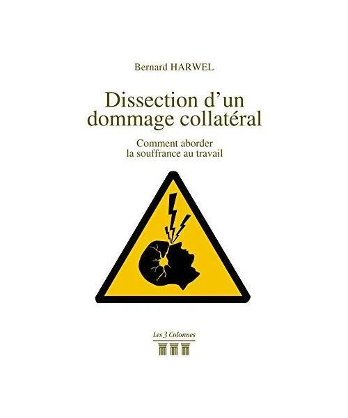 DISSECTION D'UN DOMMAGE collatéral - Comment aborder la souffrance au travail, EUR 13,64 ...