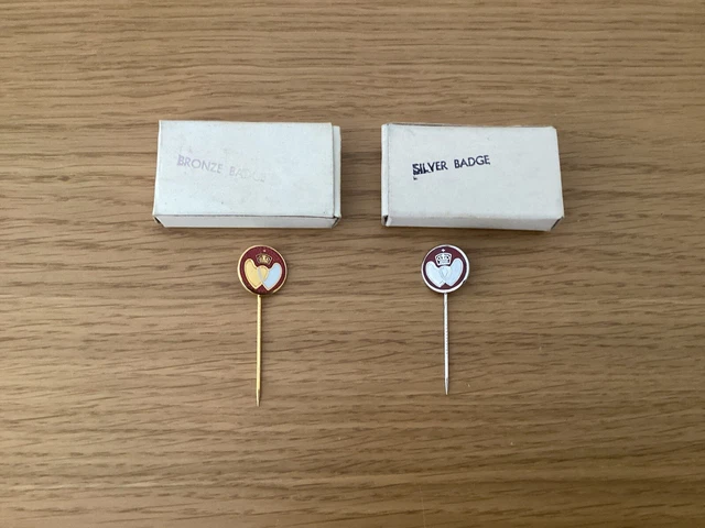 NATIONAL BOOL TRANSFUSION Service .. 2 Lapel Pins (Silver & Bronze ...
