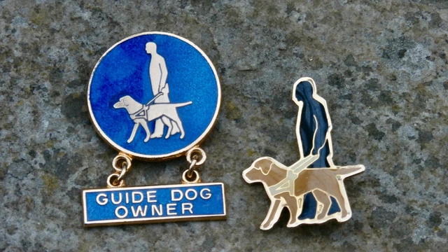 VINTAGE GUIDE DOG Owner Enamel Badges Guide Dogs for the Blind ...