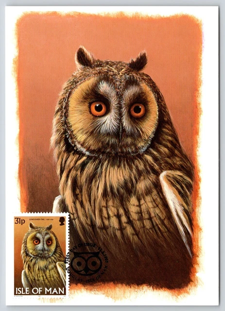 LONG-EARED OWL, ISLE of Man PHQ Postcard First Day Issue 1997 with ...