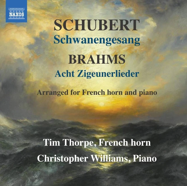 FRANZ SCHUBERT SCHUBERT: Schwanengesang/Brahms: Acht Zigeunerlieder (CD) Album EUR 26,31 ...