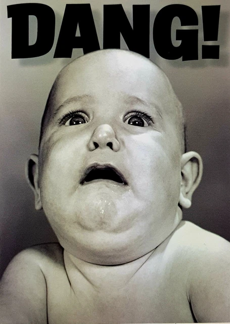 FUNNY AVANTI PRESS Happy Birthday Greeting Card DANG BABY with Envelope ...