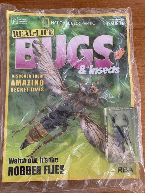 NATIONAL GEOGRAPHIC real life bugs & insects Issue 36 New £5.00 ...