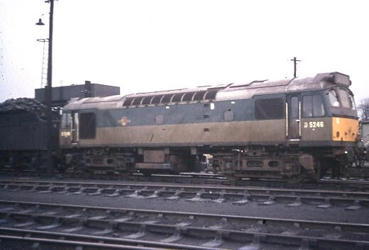 ORIGINAL COLOUR SLIDE of D5246 BR class 25 diesel loco £1.99 - PicClick UK