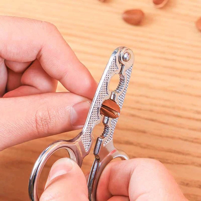 PINCE CHATAIGNE OUTIL Pour Casser Les Noix Ouvre-châtaignier À Main EUR ...