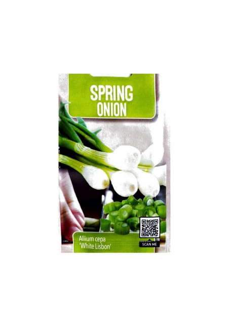 SEEDS PACK WHITE Spring Onions Sachet Graines Oignon De Printemps ...