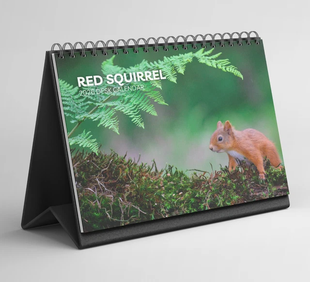 RED SQUIRREL DESK Calendar 2026-2027: Standing Flip Desktop Calendar £ ...