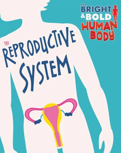 THE BRIGHT AND Bold Human Body: The Reproductive System (Bright and ...
