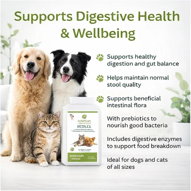 PADDIPAWS PROBIOTIC & Digestive Enzyme Tablets for Dogs & Cats – 5 ...