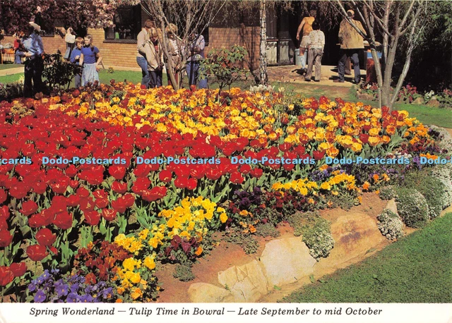 D009720 FRÜHLINGSWUNDERLAND. TULPE. Bowral. Rot. Gelb. Garten ...