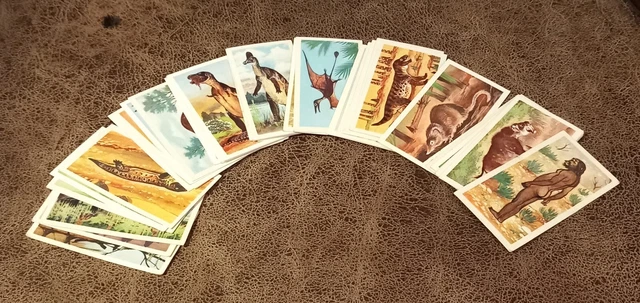 CIGARETTE/TEA CARDS BROOKE Bond 1972 Prehistoric Animals - Full Set 50 ...