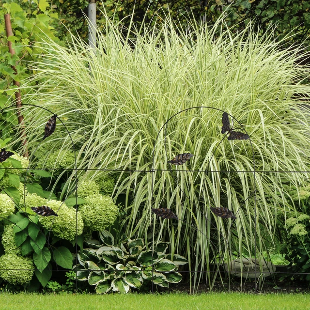 BORDURE POTAGER 5 éléments Potager bordure Clôture potager Clôture ...