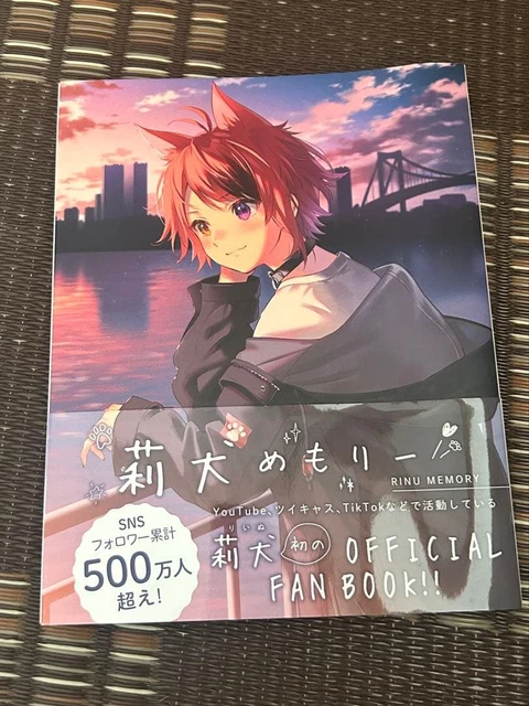 STOPPURI RIINU MEMORI Fan Book Fiction Collectible Used £46.82 ...