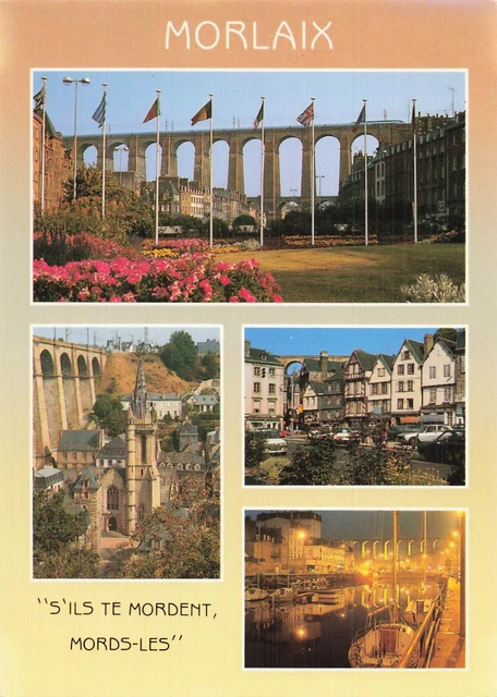 29 MORLAIX LES Vieilles Maisons Le Viaduc Et Le Port EUR 5,90 - PicClick FR