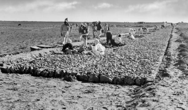 WORKERS DURING THE Construction Of The Coastal Road, Libya 1920 OLD ...