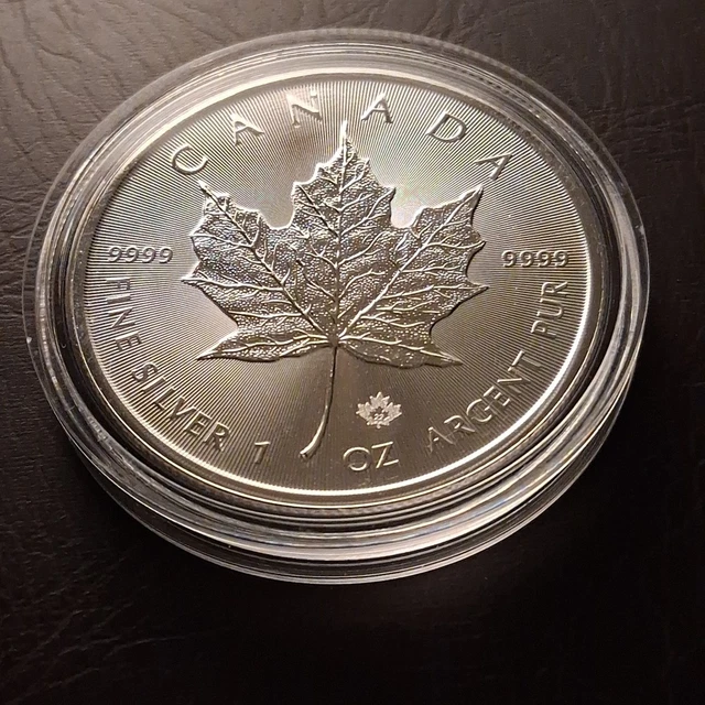 2022 1 OZ Silver Maple Leaf 9999 Fine Bullion One Ounce RCM Coin $90.00 ...