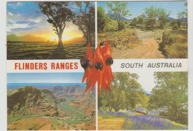 FLINDERS RANGES S.A 5 Scenes Incl Chambers Gorge Erinda Postcard EUR 5 ...
