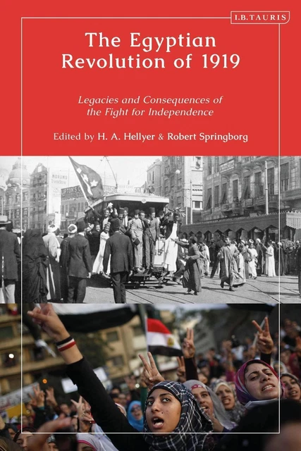 THE EGYPTIAN REVOLUTION of 1919: Legacies and Consequences of the Fight ...