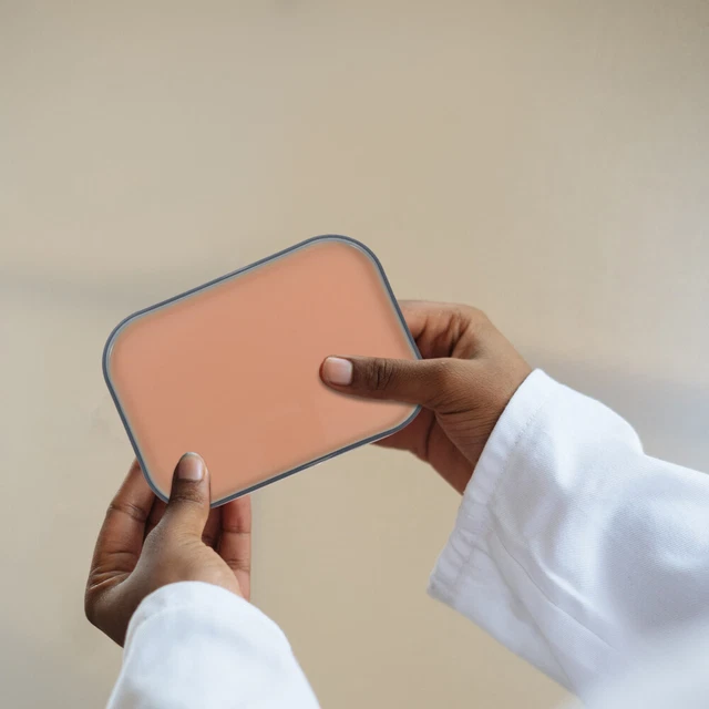 ARTIFICIAL WOUND PRACTICE Module Suturing Model Medical Simulation £18. ...