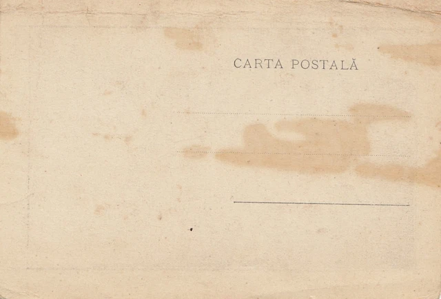 ANSICHTSKARTE AVIATDRUL A. Vlaicu, Mort la 31.8.1913 Flugzeug EUR 18,88 ...