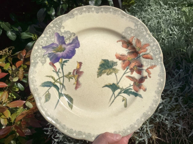 BELLE ET GRANDE assiette ancienne E.Bourgeois fleurs coupées EUR 45,00 - PicClick FR
