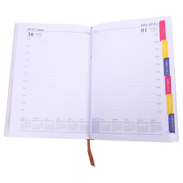 DAILY SCHEDULE NOTEPAD 2025 Diary Monthly Planner 2024-2025 £15.85 ...