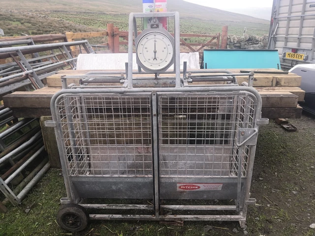 RITCHIE LAMB WEIGH Scales Farming Agriculture Sheep £495.00 - PicClick UK
