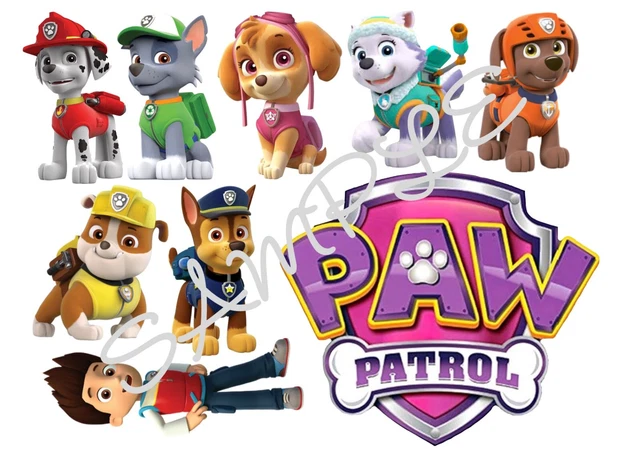 PAW PATROL PINK Logo Edible Icing Sheet A4 Cake Toppers £5.50 - PicClick UK