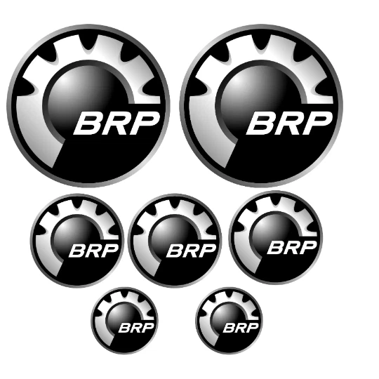 BRP LOGO STICKERS CAN-AM Sea-doo Ski doo Decals Replacement Sheet $9.99 ...