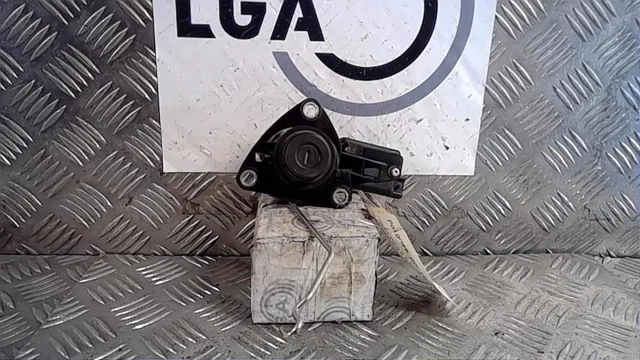 POIGNEE PORTE COFFRE DACIA DUSTER 1 PHASE 1 905026966R EUR 27,50 ...