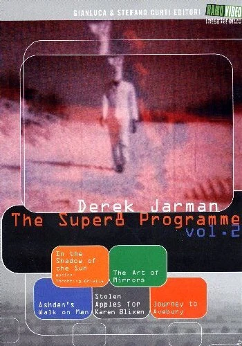 DVD DEREK JARMAN - The Super 8 Programme #02 EUR 10,99 - PicClick IT
