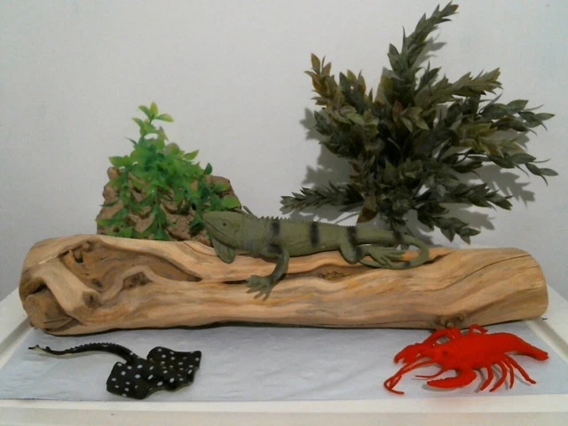 DRIFTWOOD FISH & reptiles 3.5x18" natural basking log decor £11.50 ...
