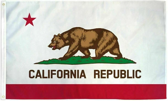 CALIFORNIA FLAG CA State Banner Pennant 3x5 foot indoor outdoor 36x60 ...
