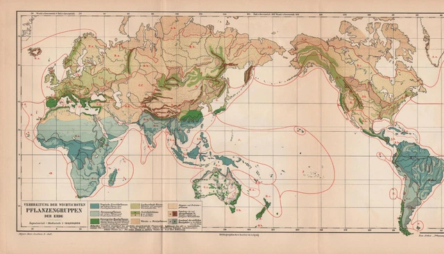 ANTIQUE MAP. THE WORLD MAP OF VEGETATION & PLANT DISTRIBUTION. c 1905 ...