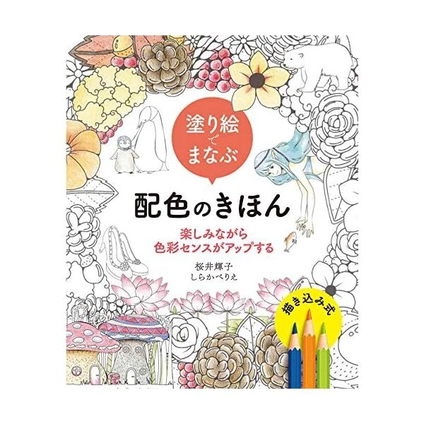 BASIC COLOR SCHEMES to Learn by Coloring (Book) NEW from Japan FS EUR ...
