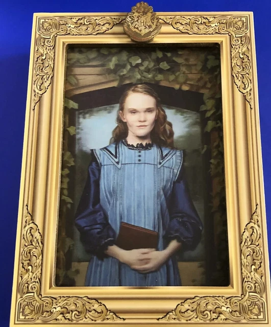 HARRY POTTER SECRET Wall Frame Ariana Dumbledore Exclusive Geek Mini ...