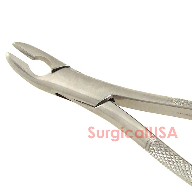 EXTRACTION FORCEPS 150A Parallèle Becs Upper Incisives Chirurgical ...