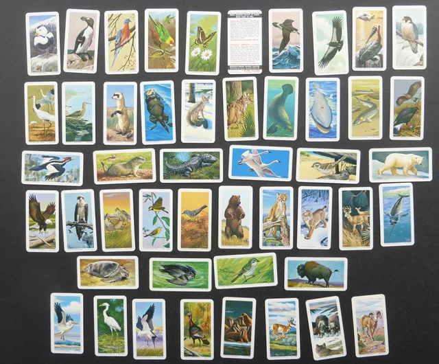 CIGARETTE TRADE CARDS :Set Brooke Bond Canadian Wildlife (Mint) £2.95 ...